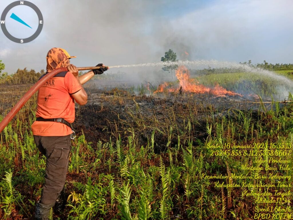 Pengendalian Kebakaran Hutan dan Lahan