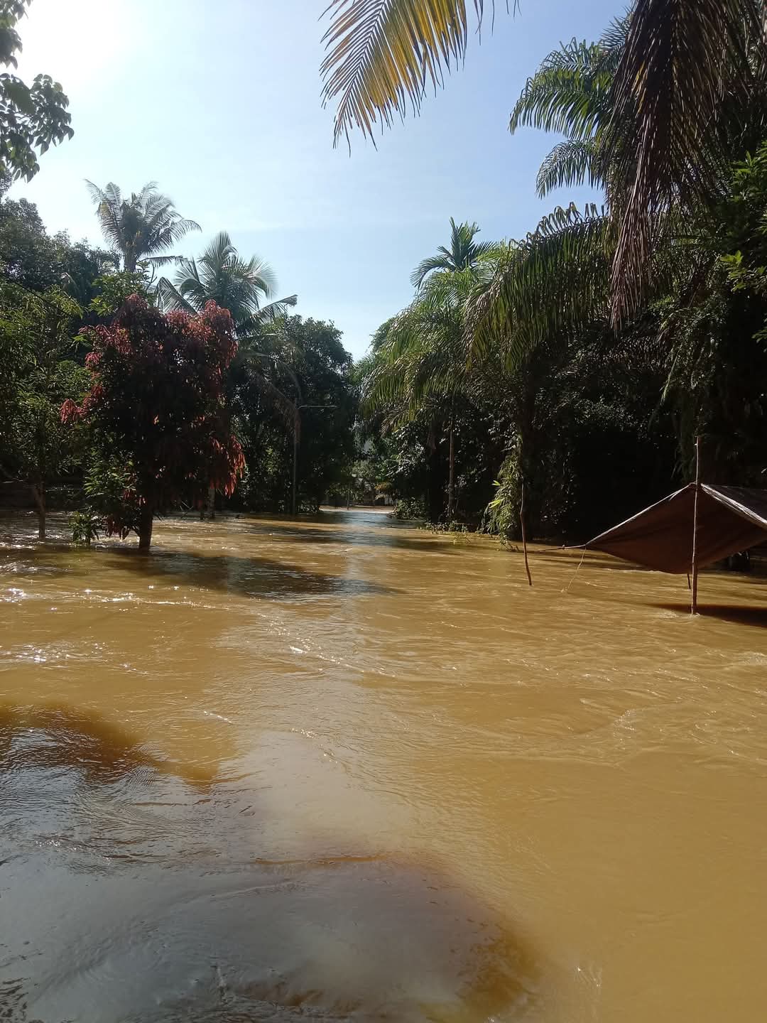 Desa Tumbang Koling Banjir